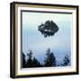 'Island in Lake Tahoe' Photographic Print - Micha Pawlitzki | Art.com