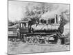 'Engineer Casey Jones on Engine No. 638' Photographic Print - J.E ...
