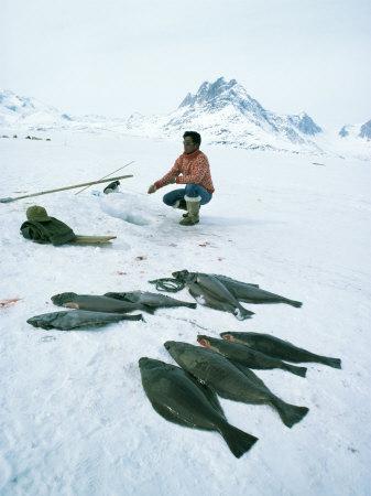 'Inuit Man Fishing for Halibut, Greenland, Polar Regions' Photographic ...