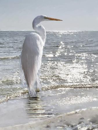 'Ocean Stand' Giclee Print - Jack Wild | Art.com