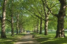 'Bellagio, Lake Como, Italian Lakes, Italy, Europe' Photographic Print ...