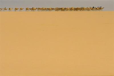 Salt Caravan En Route to Agadez, Nigeria. EN ROUTE TO Agadez, Nigeria ...