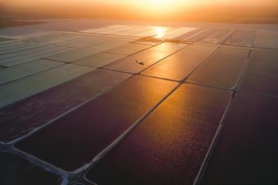 'Salt Flats Cover the Ground at Texeda Mines. Lake Mcleod, near ...