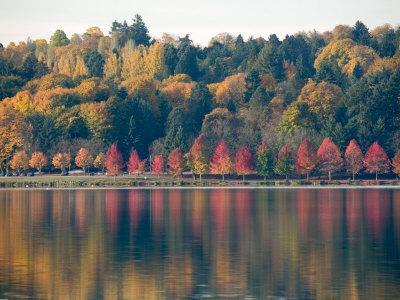 'Autumn at Green Lake, Seattle, Washington, USA' Photographic Print ...