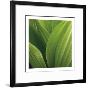 Beautiful Jan Bell artwork for sale, Posters and Prints | Art.com