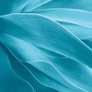 Jan Bell Art: Prints, Paintings, Posters & Wall Art | Art.com