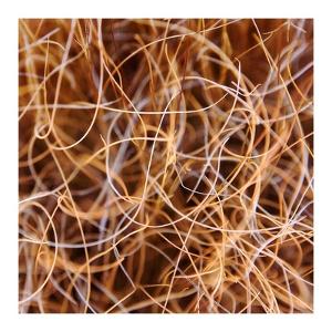 Jan Bell Art: Prints, Paintings, Posters & Wall Art | Art.com