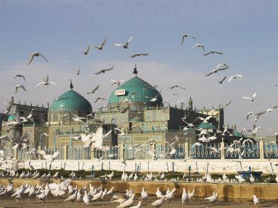 'The Famous White Pigeons, Shrine of Hazrat Ali, Mazar-I-Sharif, Balkh ...