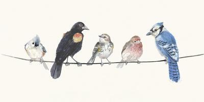 Birds on the Line Giclee Print - Janie Howe | Art.com