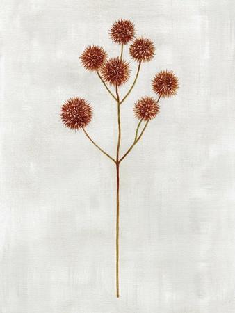 Botanical Set - Thistle Giclee Print - Janie Howe | Art.com