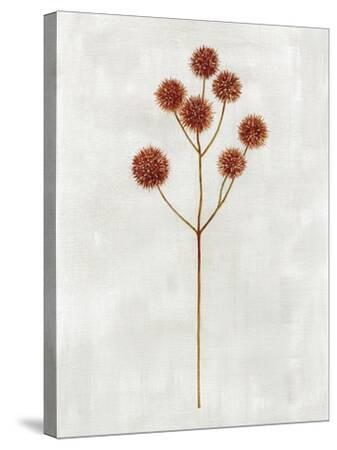 Botanical Set - Thistle Stretched Canvas Print - Janie Howe | Art.com