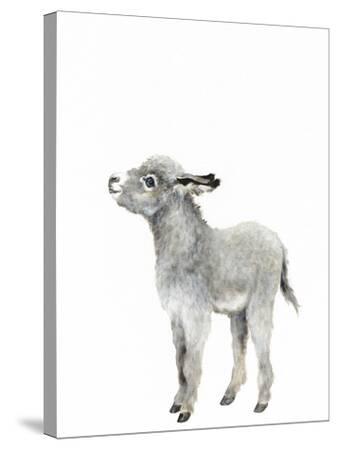 'Donkey Baby' Stretched Canvas Print - Janie Howe | Art.com