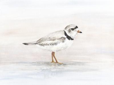 Piping Plover Giclee Print - Janie Howe | Art.com