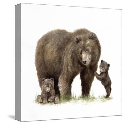 'Time to Play' Stretched Canvas Print - Janie Howe | Art.com