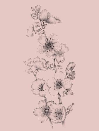 'Blush Pink Flower Drawing I' Art Print - Jasmine Woods | Art.com
