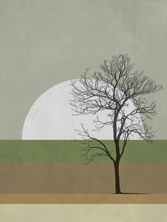 'Spring Sunset Tree' Art Print - Jasmine Woods | Art.com