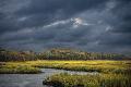 'USA, New Jersey, Pine Barrens National Preserve. Storm over marsh and ...