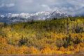 'USA, Colorado, Uncompahgre National Forest. San Juan Mountains and ...