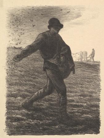 'The Sower, 1851 (Lithograph)' Giclee Print - Jean-Francois Millet ...