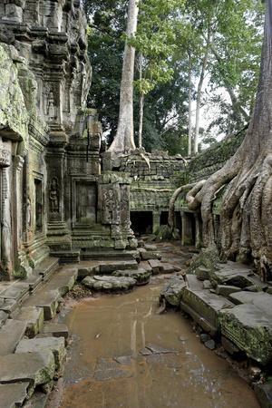'Ta Prohm Temple Dating from the Mid 12th to Early 13th Centuries ...