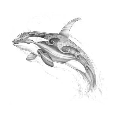 Pencil Drawings Of Sea Creatures