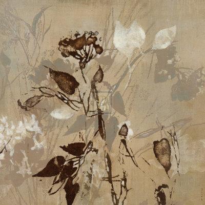 'Graphic Beauty I' Art Print - Jennifer Hollack | Art.com