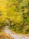 'Wind Blurs the Fall Colors Along Kelly Stand Road, Vermont, Usa ...