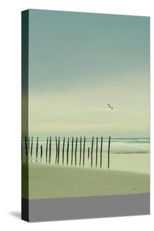 Wooden Pier Piles on Beach Stretched Canvas Print - Jill Ferry ...