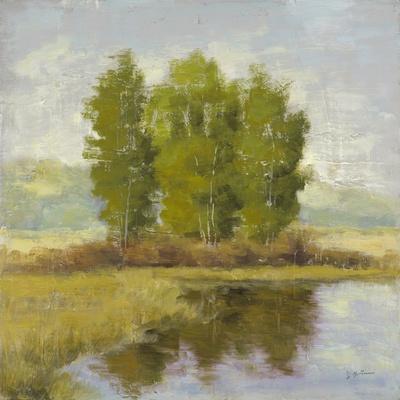'Country Reflections' Art Print - Jill Schultz McGannon | Art.com
