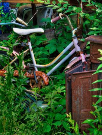 'Blogcube' Photographic Print - Jim Crotty | Art.com