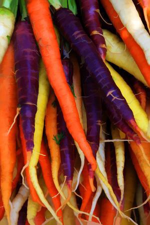 'Multi Colored Carrots at a Farmer's Market in Savannah, Georgia, USA ...