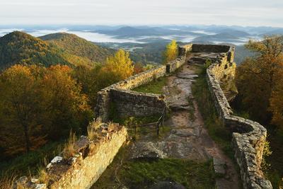 'Wegelnburg Castle, Palatinate Forest, Rhineland-Palatinate, Germany ...