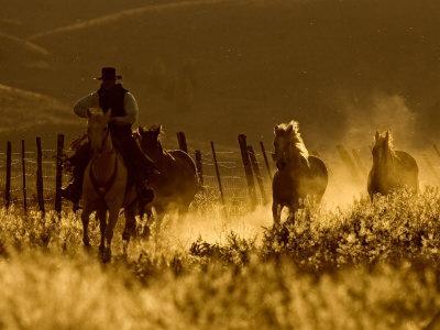 'Ranch Living at The Ponderosa Ranch, Seneca, Oregon, USA' Photographic ...