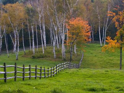 'Rural Landscape, East Arlington, Vermont, USA' Photographic Print ...