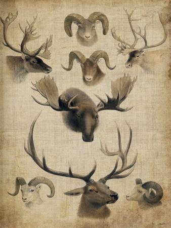 'American Trophy I' Art Print - John Butler | Art.com