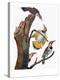 'Audubon: Flicker' Giclee Print - John James Audubon | Art.com