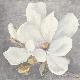 Serene Magnolia Light Gray Art Print - Julia Purinton | Art.com
