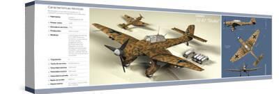 'Junkers JU-87 "Stuka".' Stretched Canvas Print | Art.com
