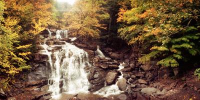 'Kaaterskill Falls Stream Through the Forest of the Catskill Mountains ...
