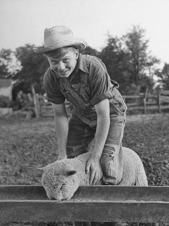 'Kansas Farm Boy Dan Gardner and One of His 4-H Project Lambs ...