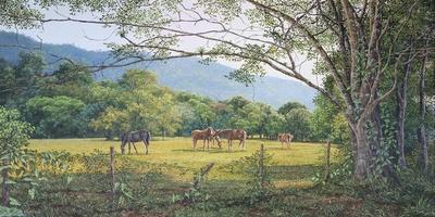 'Graze' Giclee Print - Karen Sylvester | Art.com