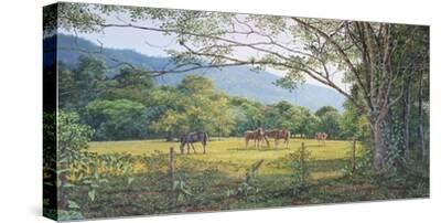 'Graze' Stretched Canvas Print - Karen Sylvester | Art.com