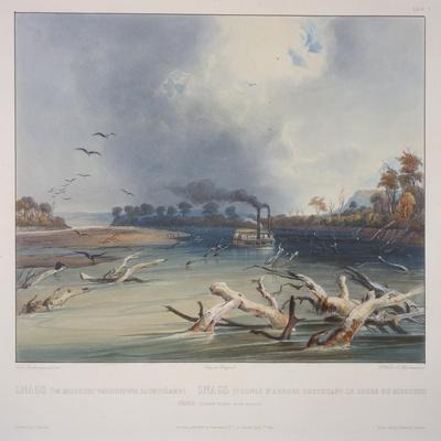 'Snags (Sunken Trees) on the Missouri' Giclee Print - Karl Bodmer | Art.com