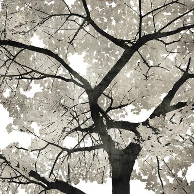 Silver Leaves Art Print - Kate Bennett | Art.com