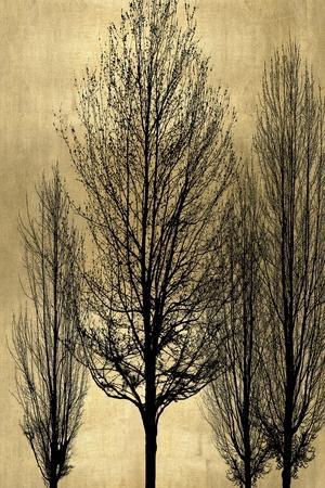 'Tree Silhutette on Gold II' Art Print - Kate Bennett | Art.com