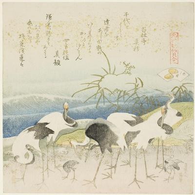 'Cranes by the Shore, Illustration for the Leg Shell (Ashigai), 1821 ...