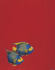 Angel Fish Art: Prints, Paintings, Posters & Wall Art | Art.com