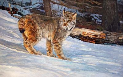 A Glance Giclee Print - Kelly Singleton | Art.com