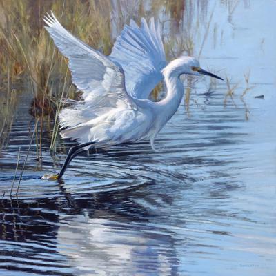 'Snowy Takeoff' Art Print - Kelly Singleton | Art.com