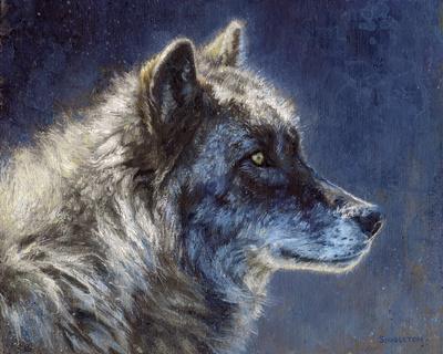 'The Mystic' Giclee Print - Kelly Singleton | Art.com